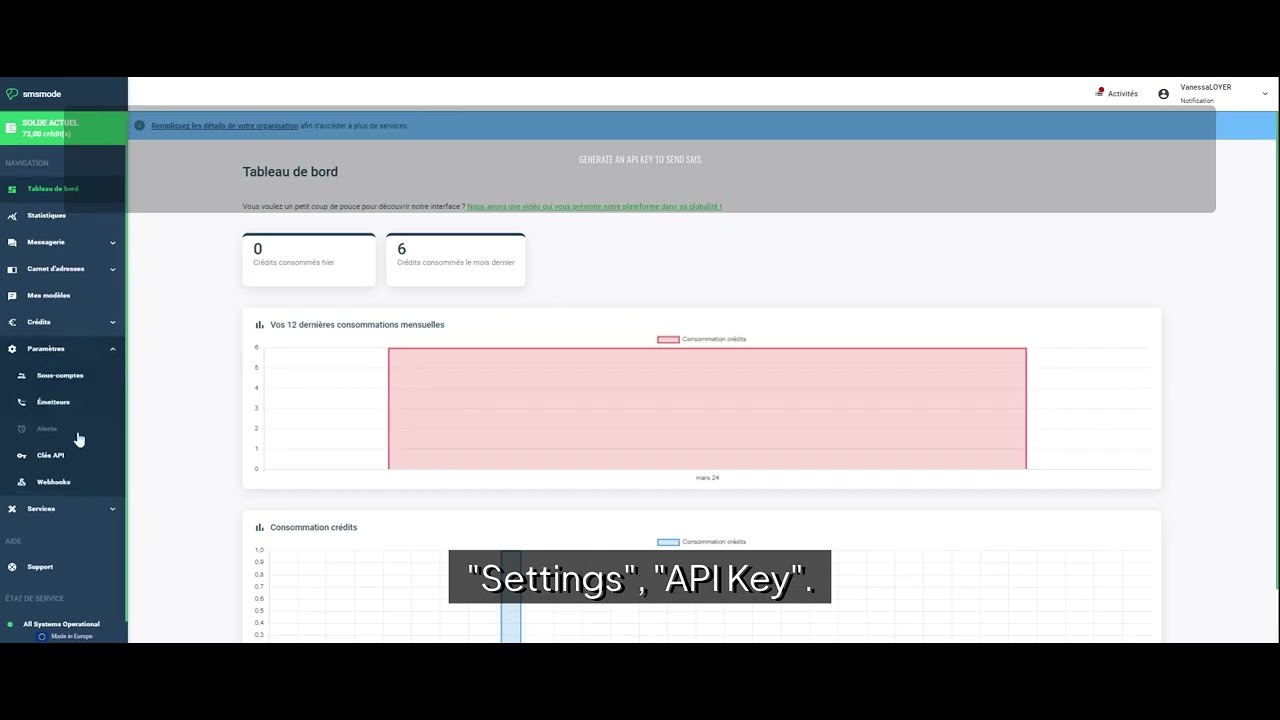 How to generate an API key on the smsmode© UI | smsmode©, CPaaS ...