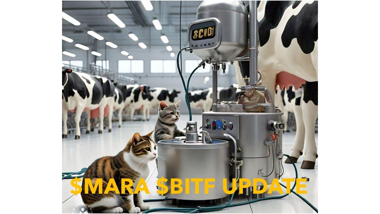 $MARA and $BITF #Bitfarms Update - YouTube
