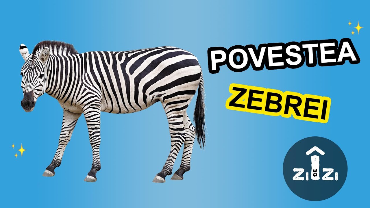 Zebra pentru copii - Aflați totul despre Zebre - Lumea Animalelor - YouTube