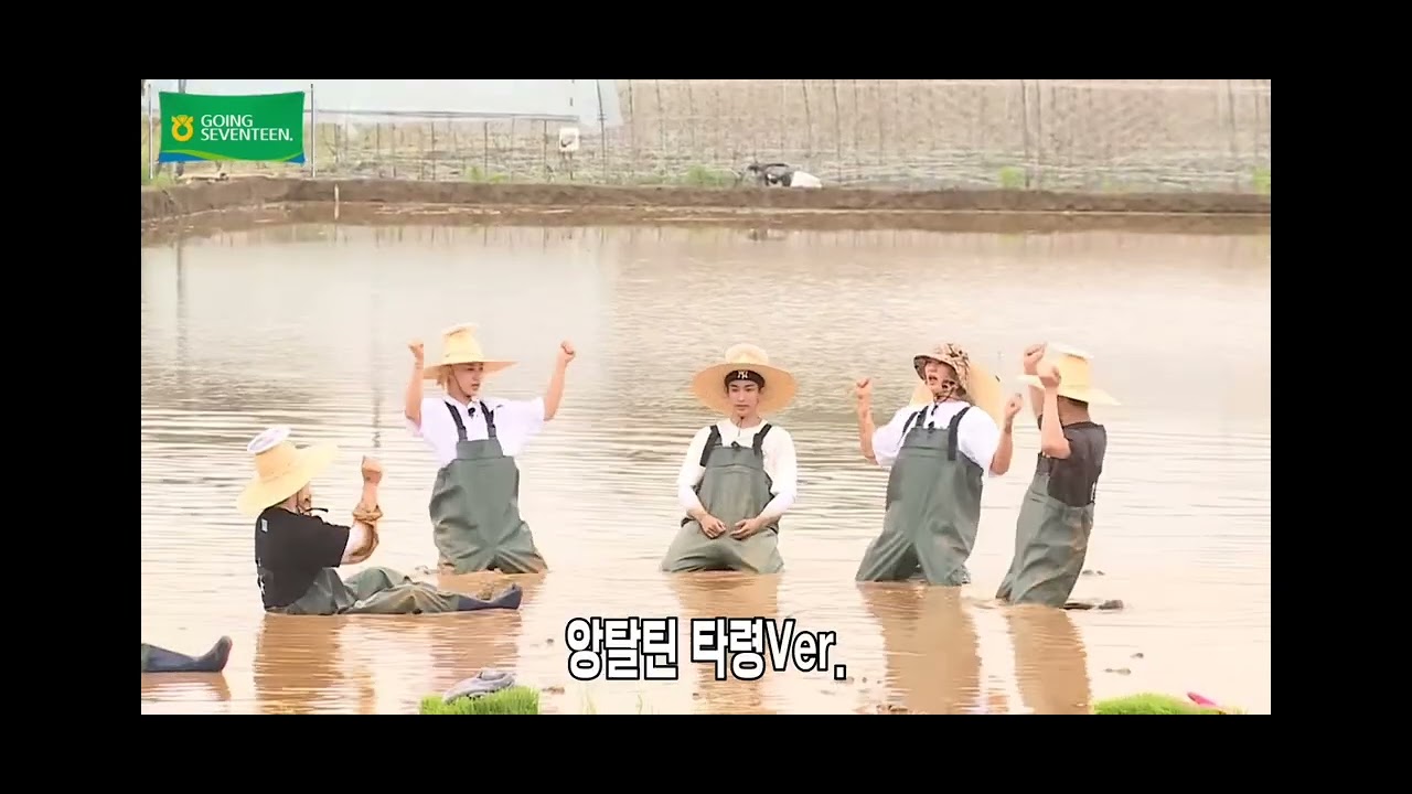 Best Assa Hongsam Game (Ft. Dino's Laugh) 🤣🤣 #Seventeen #Jeonghan #DK # ...