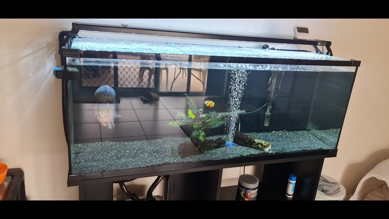 Aqua One Horizon 182 Fish Tank - YouTube