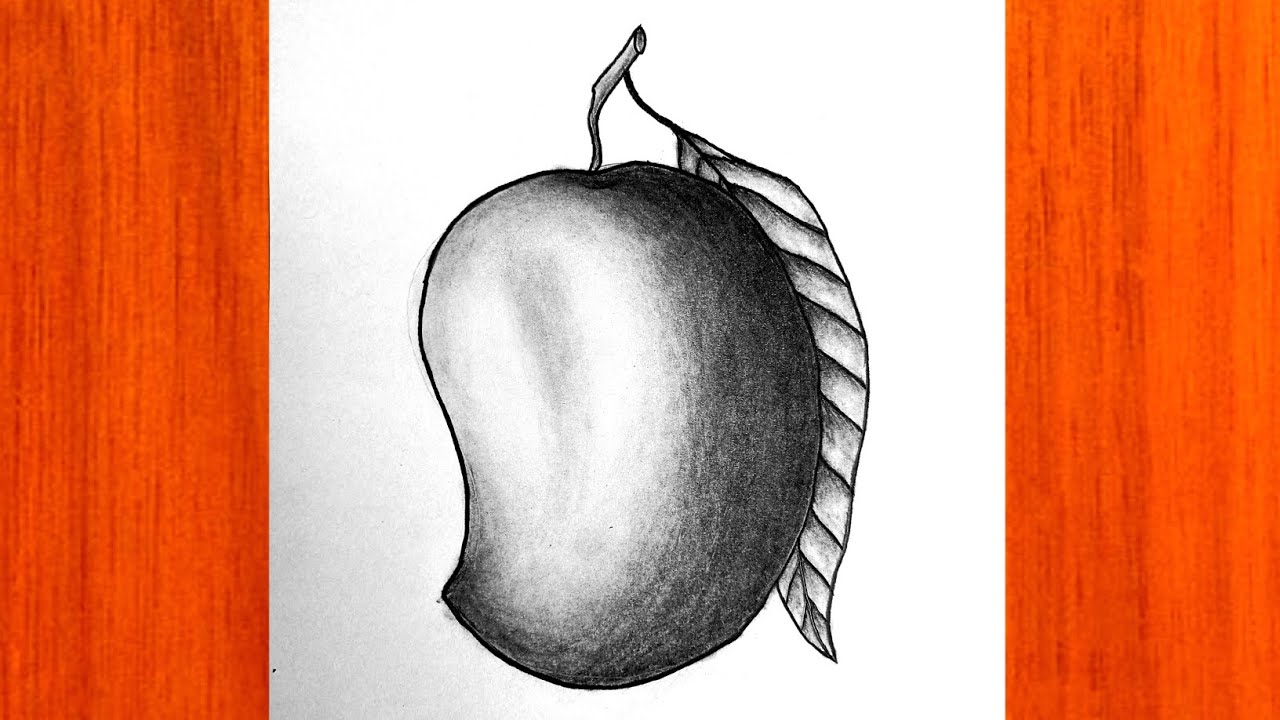 How to draw mango easy step by step || Mango drawing pencil colour ...