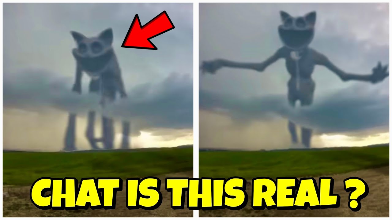 CatNap In Real Life ? - YouTube