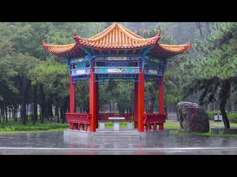 A pavilion in the Rain in the park 4K. Relaxing Rain Sounds/ Sleep/ Focus/ Anxiety/ Insomnia Relief.