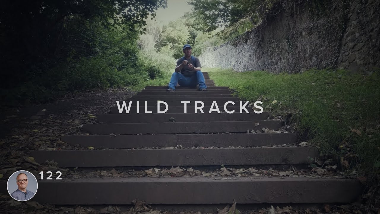 Wild Tracks - Why Am I Recording Them? - YouTube