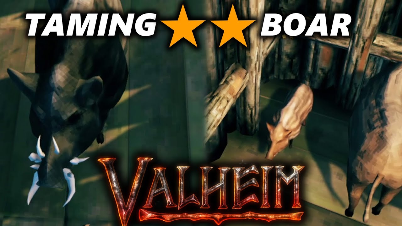 Taming 2 Star Boar and getting a 2 Star Boar baby in Valheim - YouTube