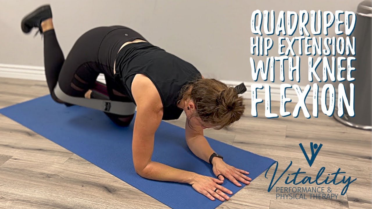 Quadruped Hip Extension with Knee Flexion - YouTube