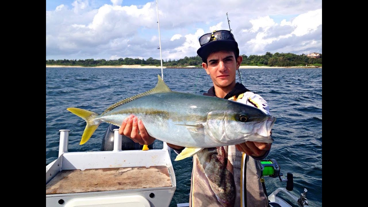 Live Baiting for Kingfish in Botany Bay - YouTube