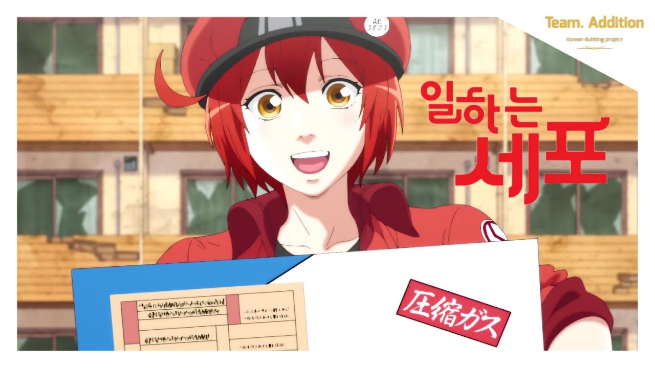 [Team. Addition] 일하는 세포 13화 한국어 더빙 - YouTube