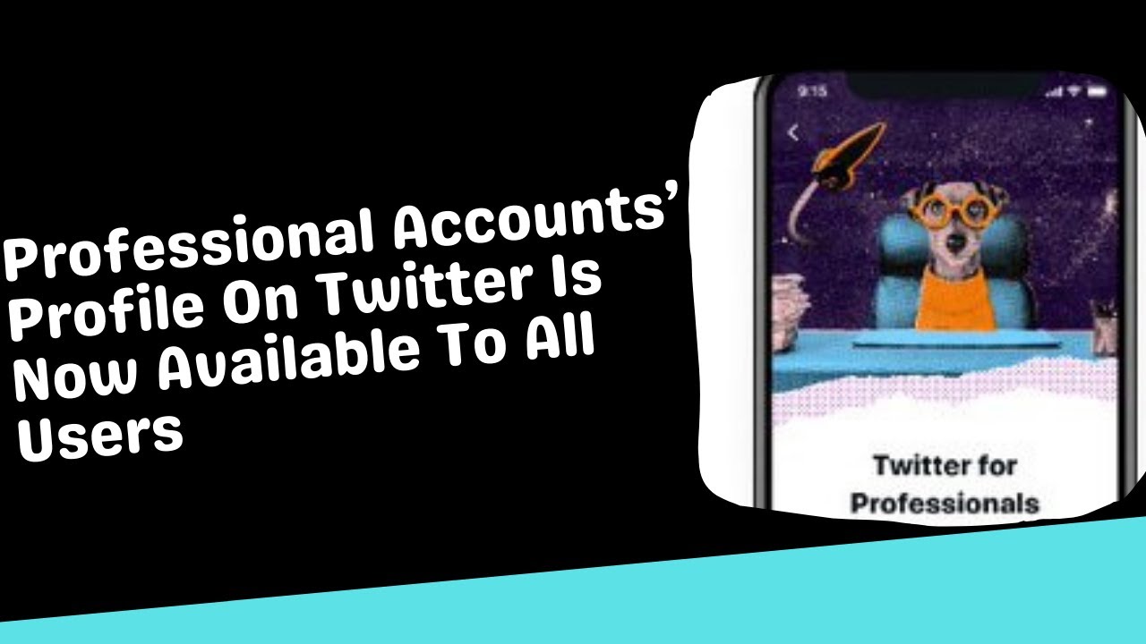 Professional Accounts’ Profile On Twitter Is Now Available To All Users ...