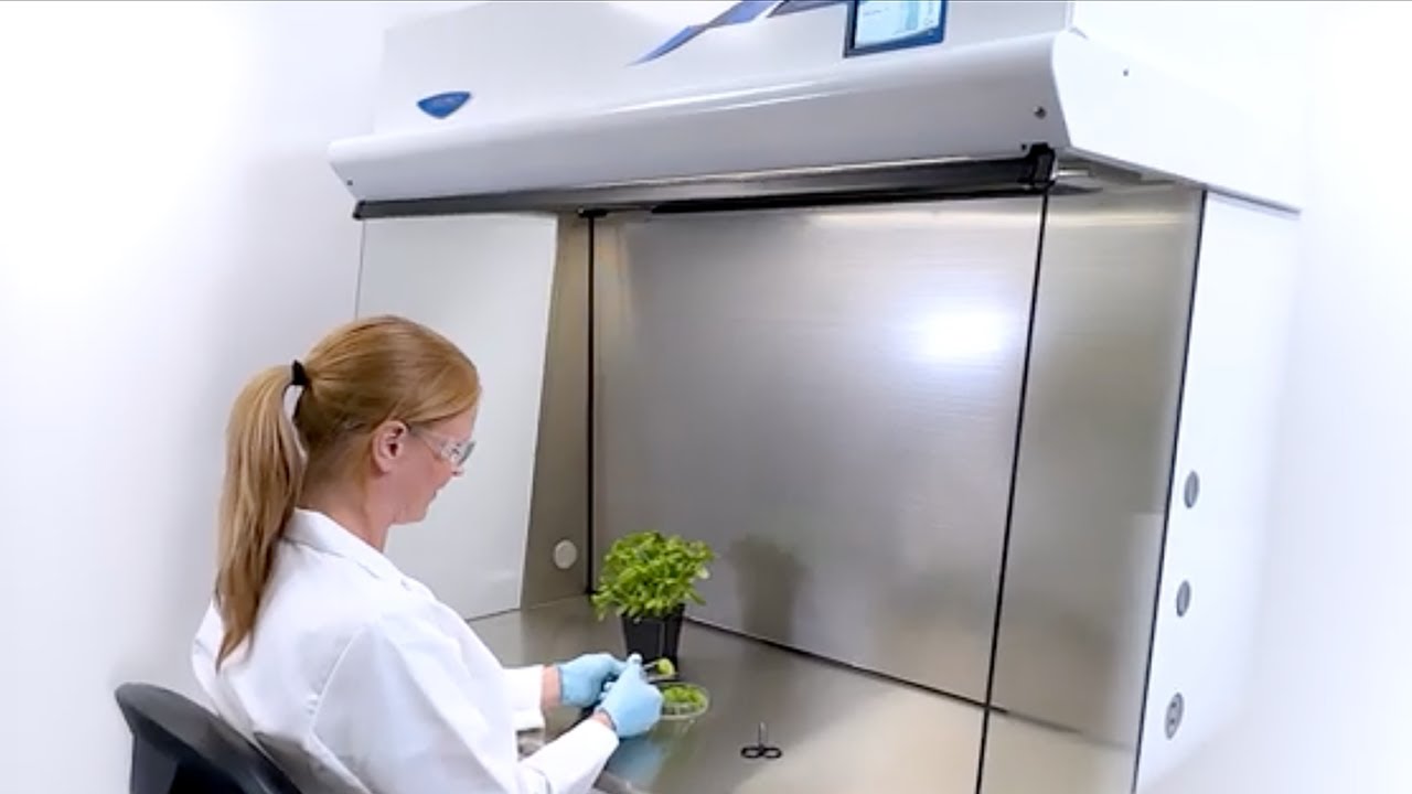 Nexus™ Horizontal Clean Bench - YouTube