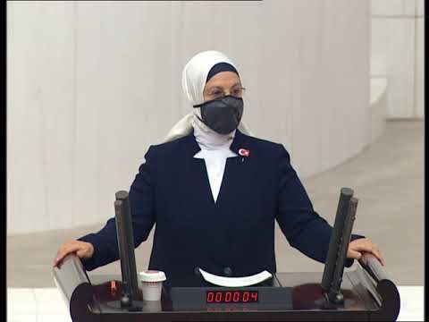 Dr. Ravza KAVAKCI KAN -GK BÜTÇE -08122020