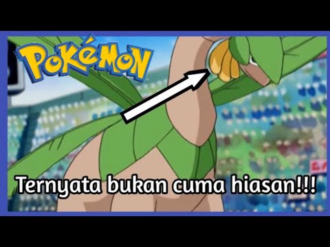 Fungsi sebenarnya dari "pisang" di dagu tropius | 30 Fakta random dunia ...