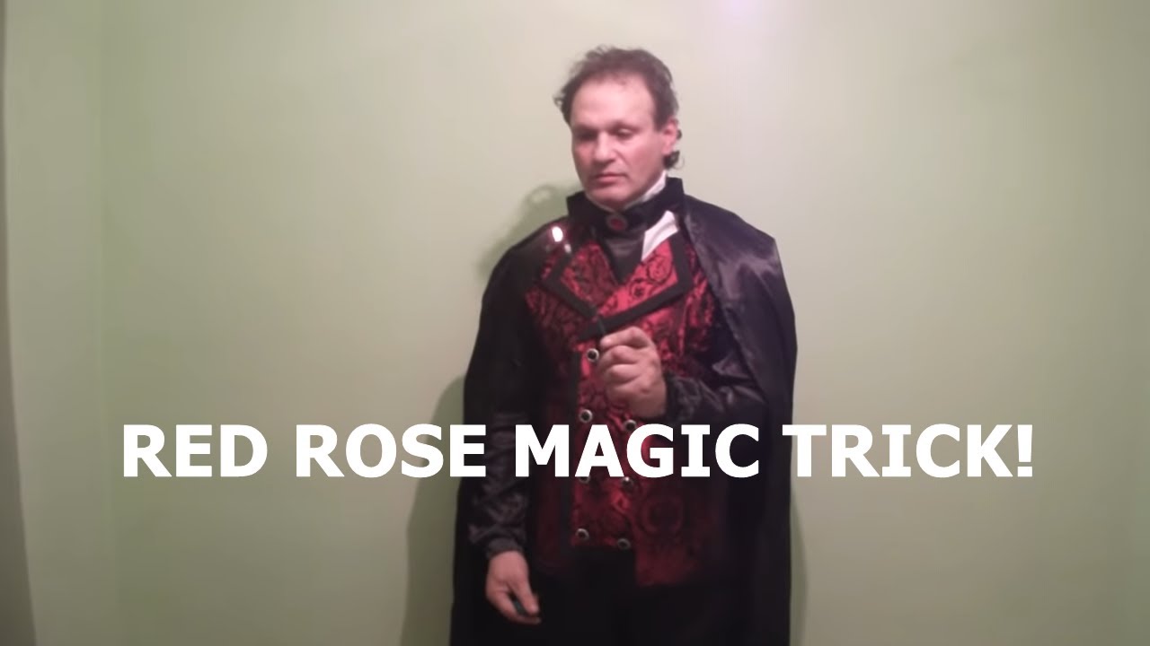 Red Rose Magic Trick 😱🌹#shorts #Red Rose #magic #tricks #shortvideo ...