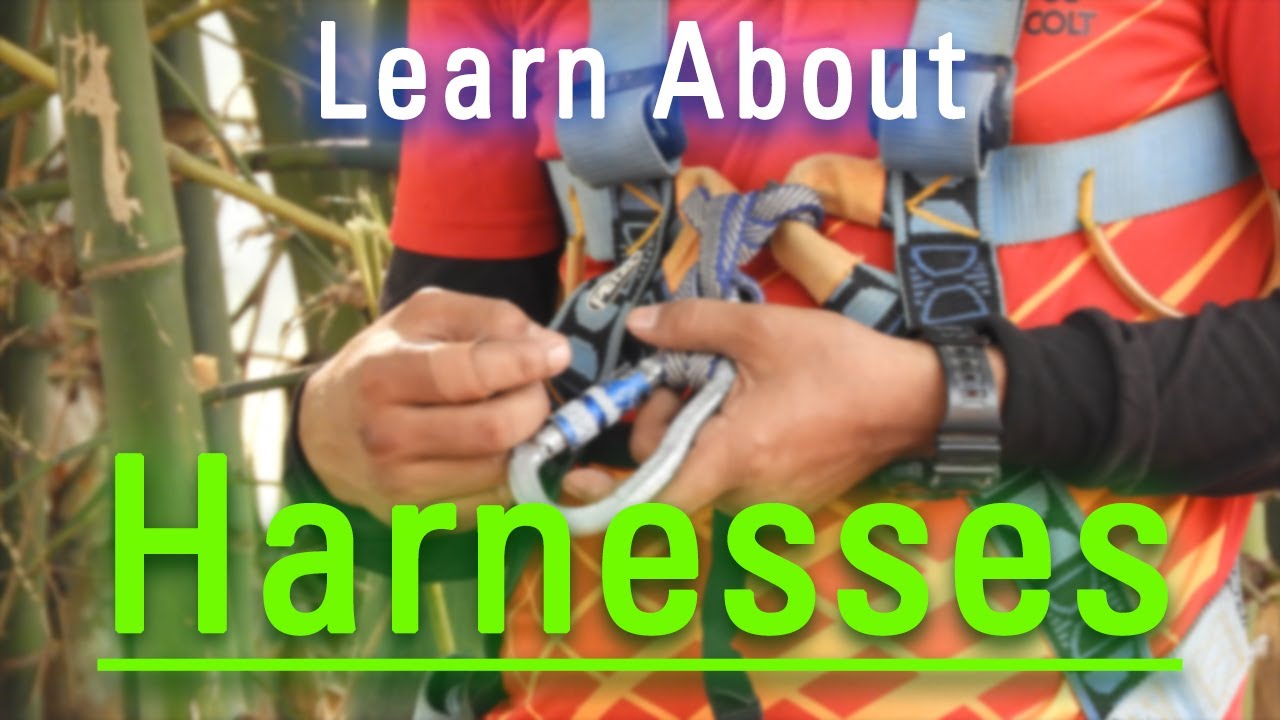 How to Say Harnesses in English? | How Do Harnesses Look? | What are ...