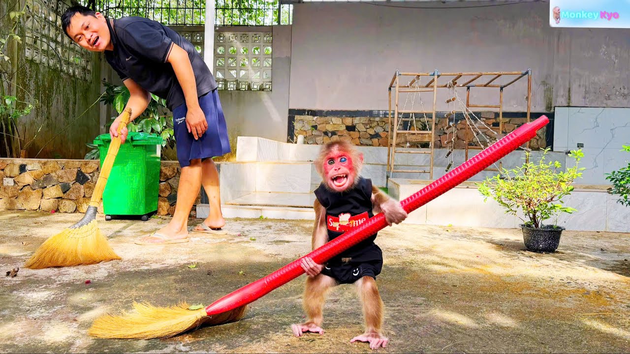 Monkey Kyo’s fun and energetic morning… while BuNa stays warm and ...