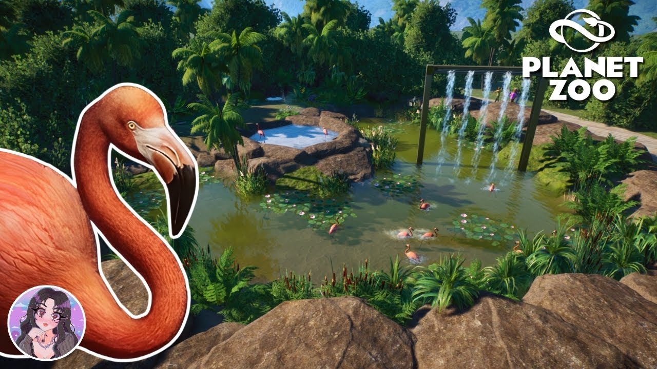 American Flamingo Habitat | Planet Zoo | Speed Build - YouTube