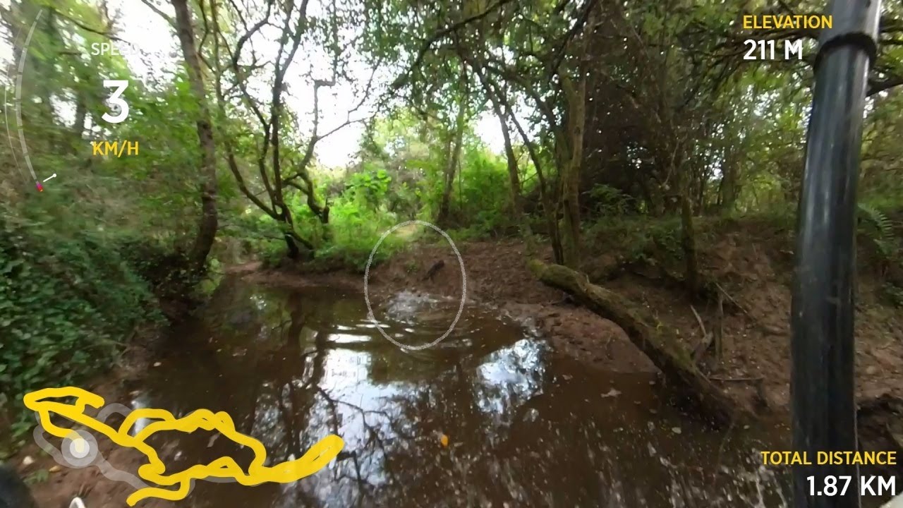 Chasing the Rat - YouTube