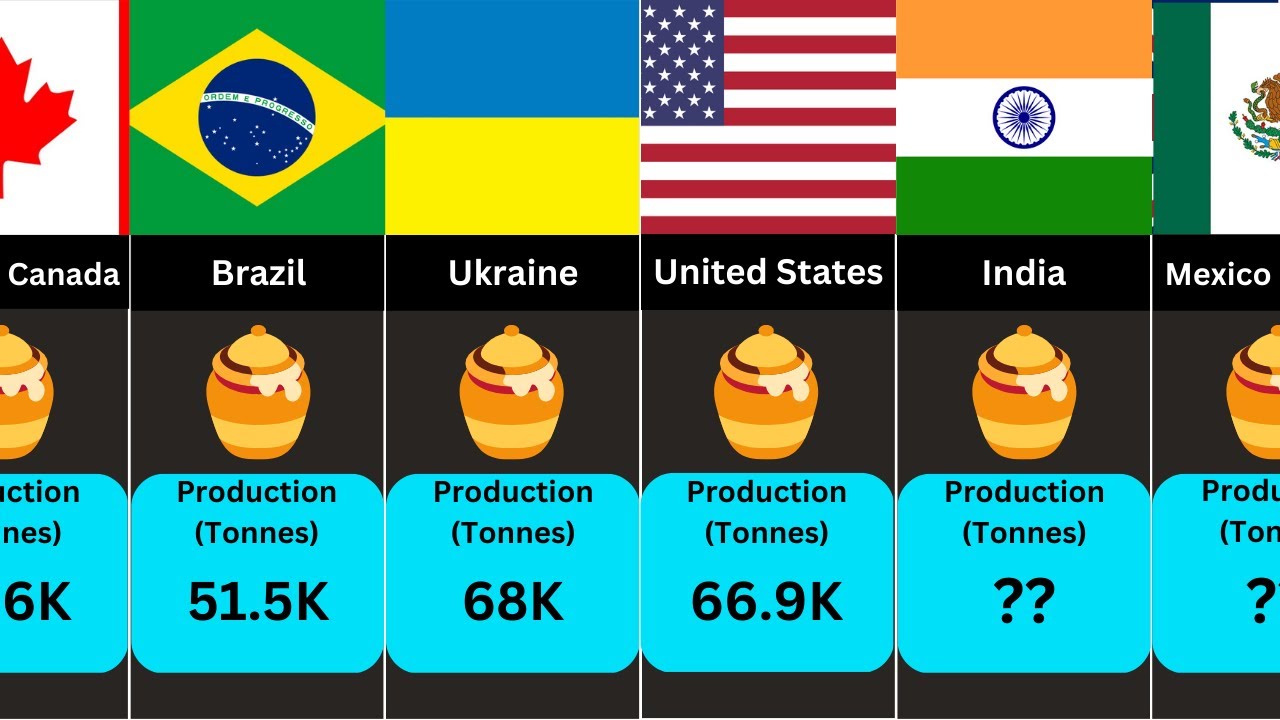 Top Honey Producing Countries in the world - YouTube