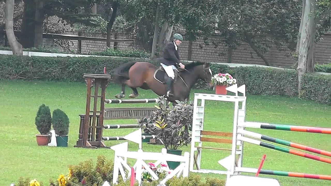 Fernando Miro Quesada y Quoter 24 08 2014 - YouTube