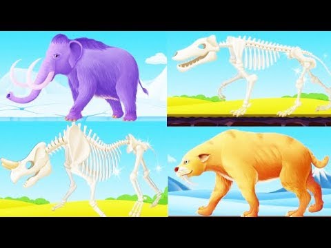 Colorful Game - Fossils Digging - Best Games for Kids - Android ...