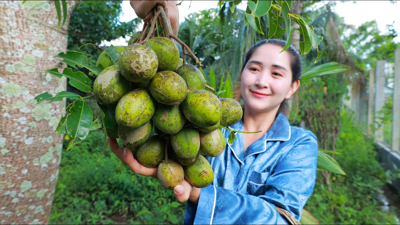 Pick june plum for my recipe - June plum cooking - June Plum Salad With ...