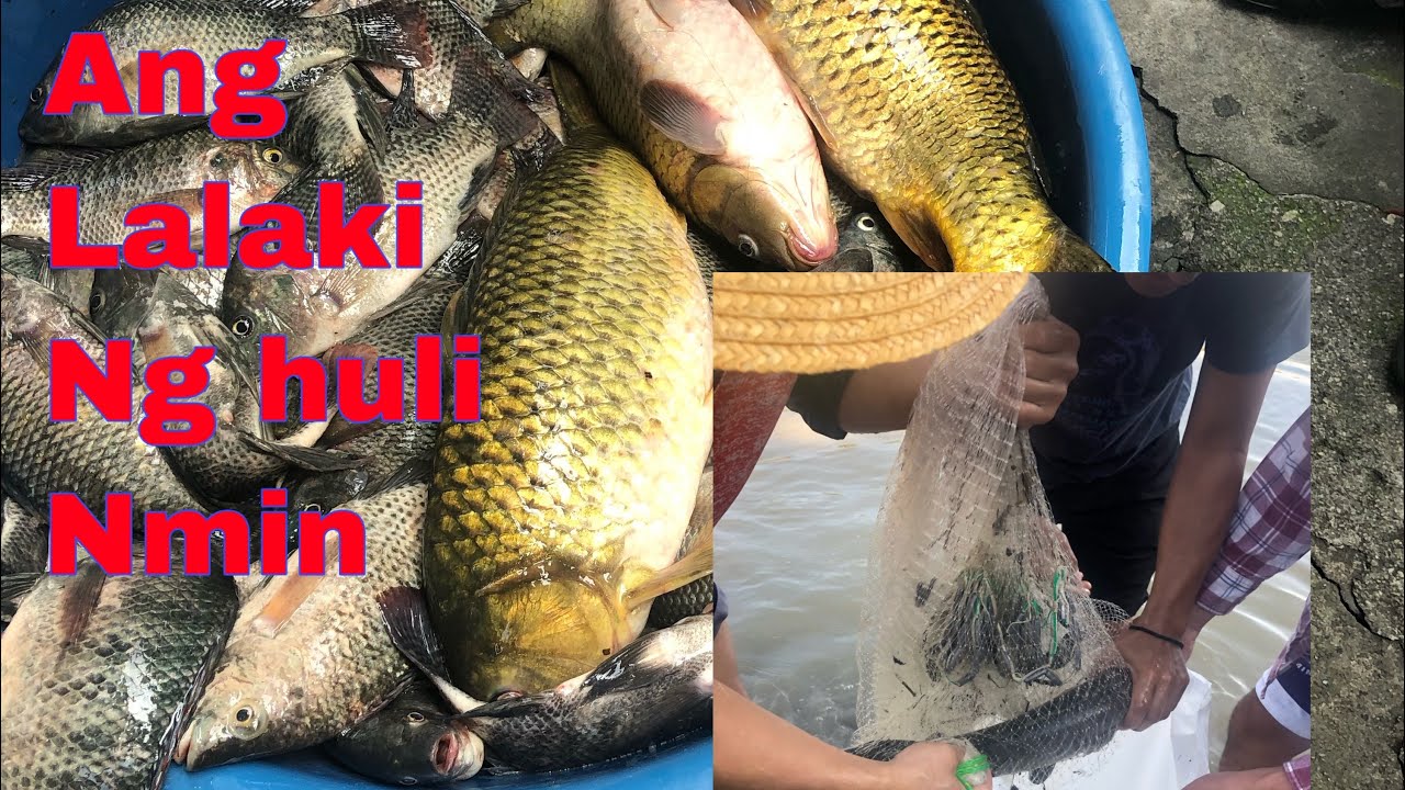 DALAG and tilapia dami nming nahuli(taiwan river) - YouTube