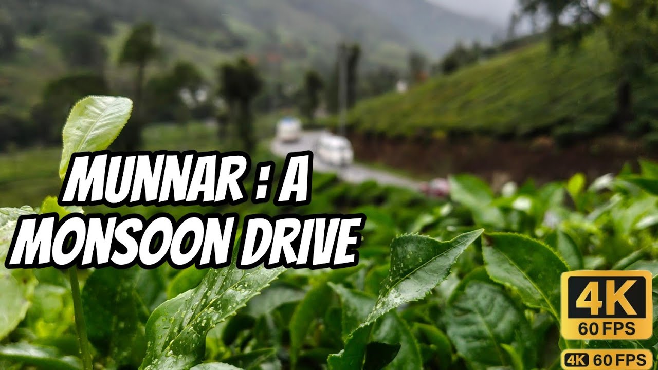 Monsoon Magic in Munnar | Driving through the Mist: Munnar Monsoon Adventure #munnar #tea # ...