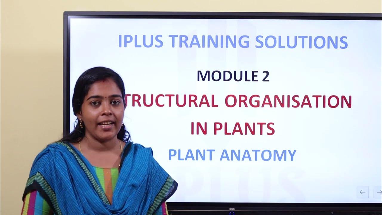 Botany - Module 2 - Plant Anatomy - Part 1 - YouTube