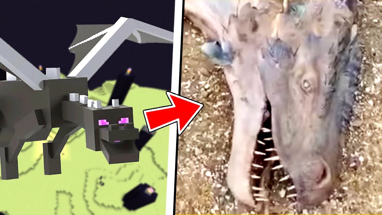 Mobs de Minecraft ENCONTRADOS EN LA VIDA REAL 😱 - YouTube
