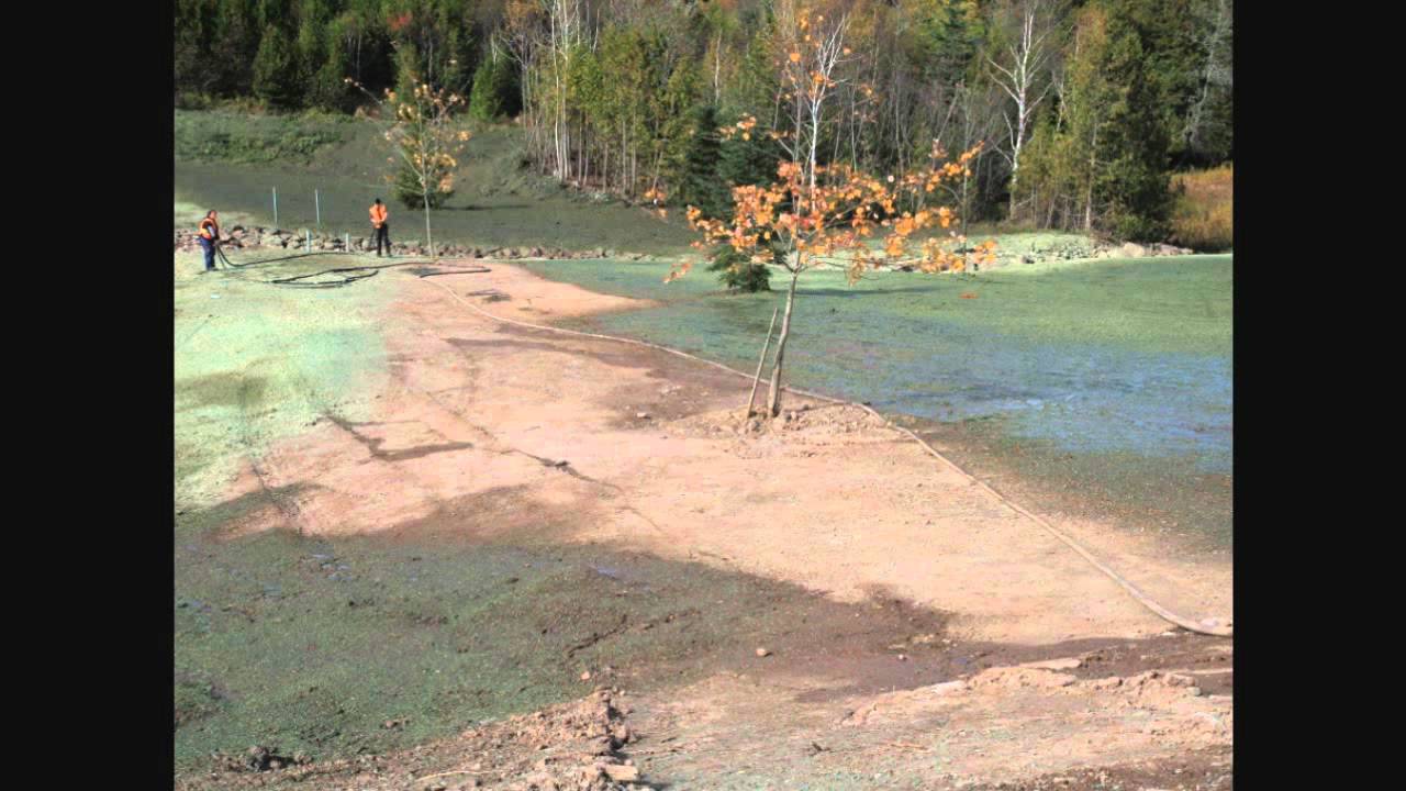 Matthews Cove Wetland Restoration - Maritime Hydroseed - YouTube