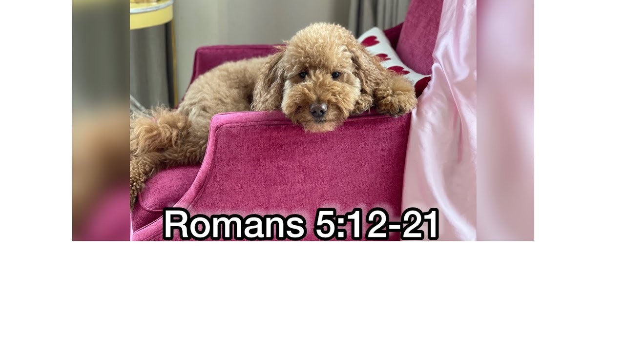 Anna Reiman - The Five With Anna - Romans 5:12-21 - YouTube