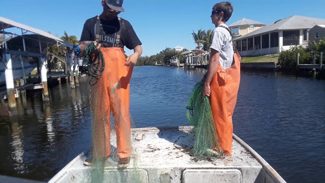 Cast netting Helm style roe mullet fishing - YouTube
