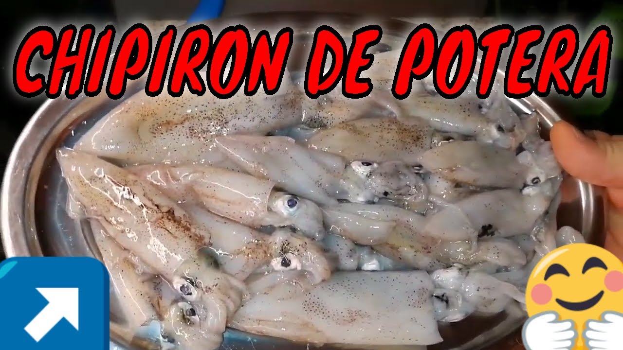 💢CHIPIRONES O CALAMAR EN SU PROPIA SALSA💢PLATO GALLEGOS💢RECETA MARINERA ...