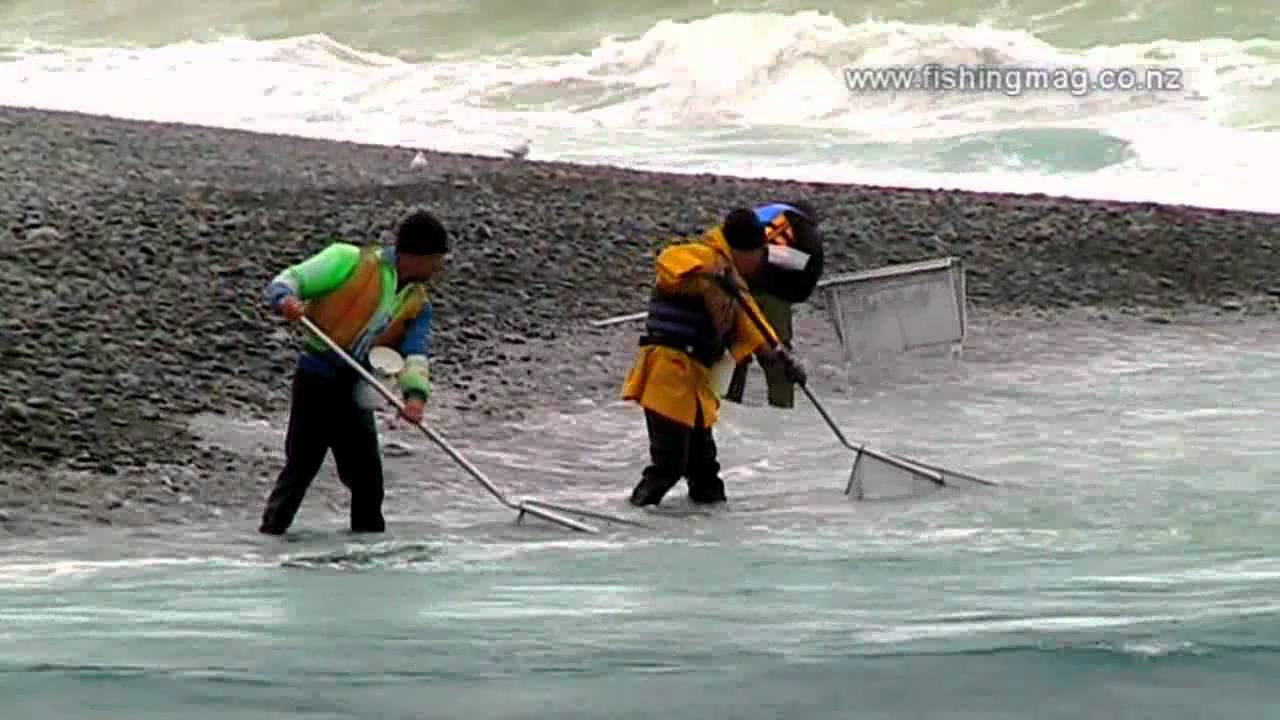 Whitebait Scoop Netting Rakaia River Mouth Fishing - YouTube