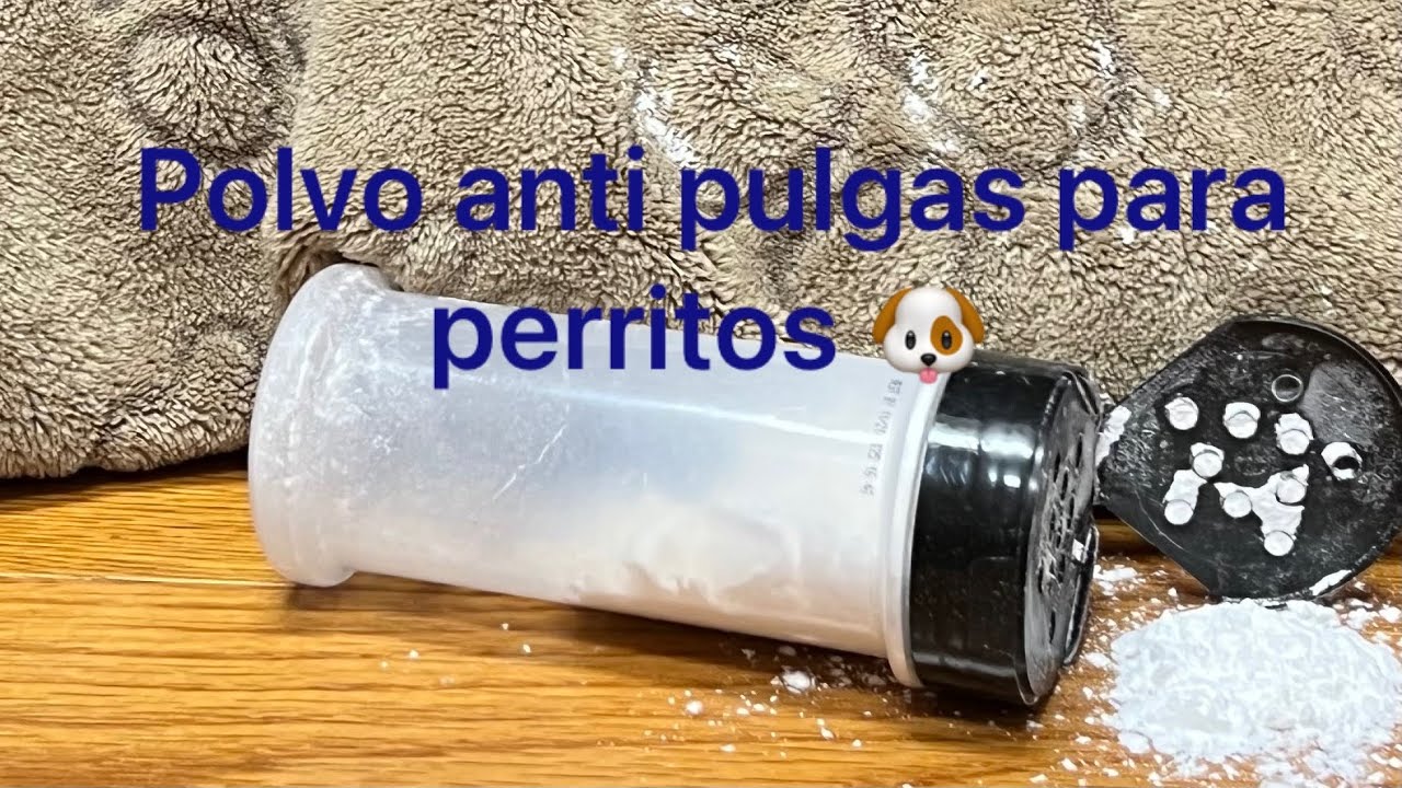 CÓMO HACER POLVO ANTIPULGAS Y GARRAPATAS PARA PERRITOS 🐶😍 - YouTube