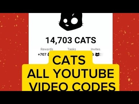 CATS | ALL VIDEO CODES | YouTube Codes #dailycombo #cats #youtubecode #airdrop - YouTube
