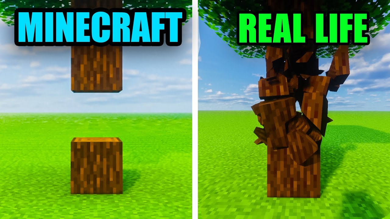 Can We Turn MINECRAFT into REAL LIFE? 😱 - YouTube