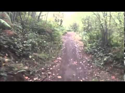 Hide and Seek trail, lower portion @ Sandy Ridge Trail System Oregon ...