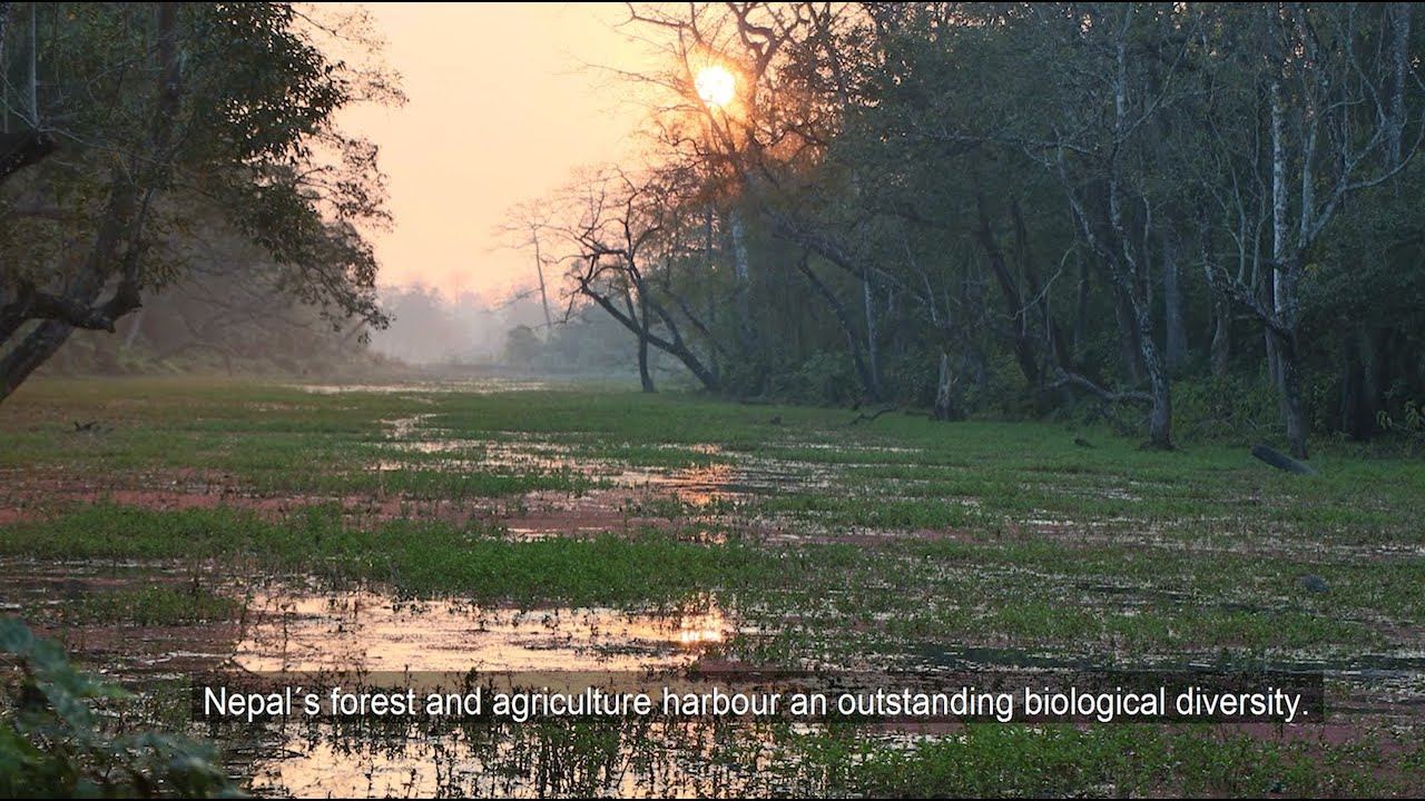 Nature Conservation and Community Development in Nawalpur district of ...