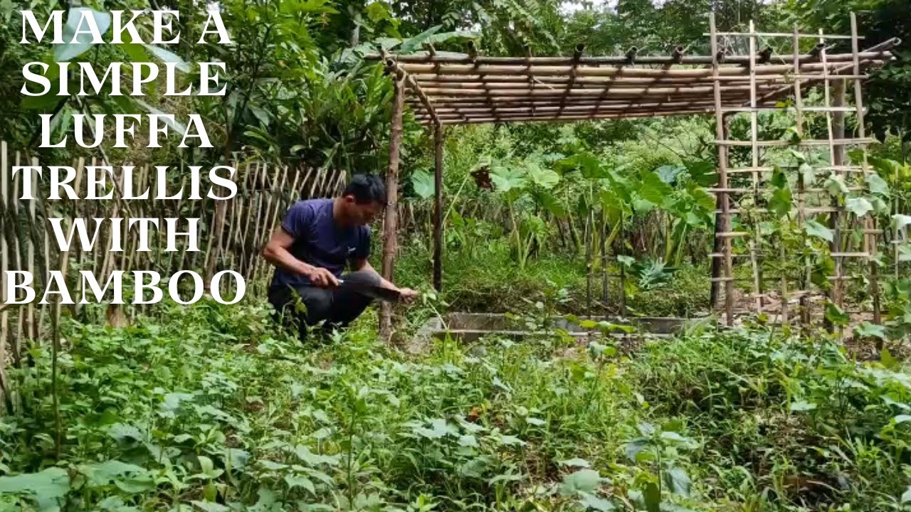 Make a simple luffa trellis with bamboo - YouTube