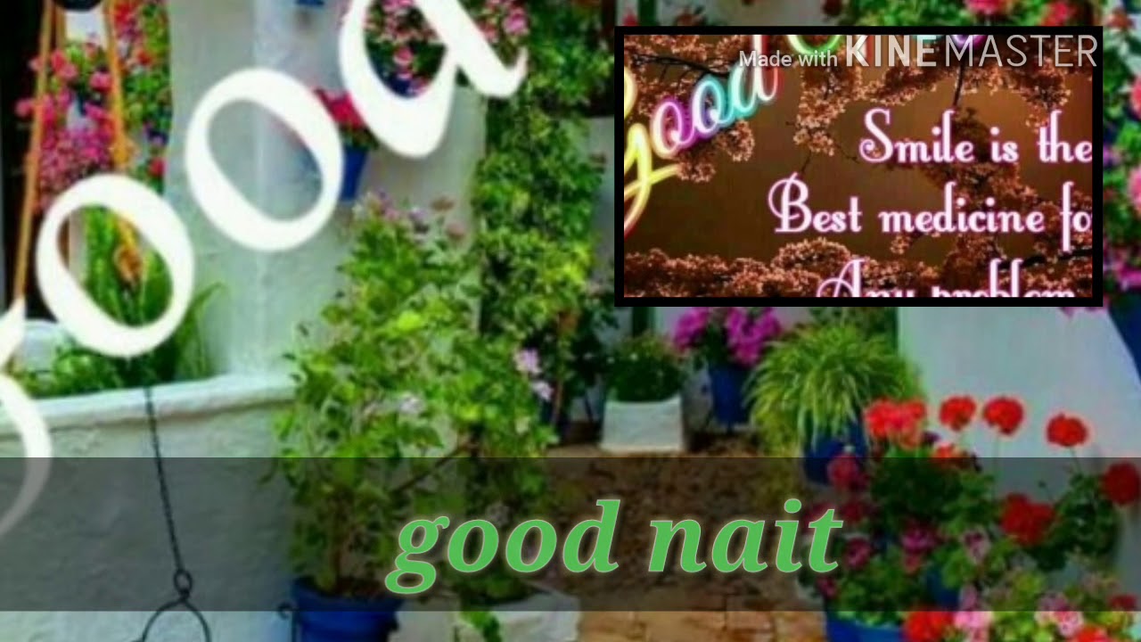 Good nait vdeo - YouTube