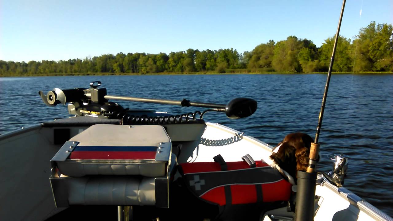 Molly and boat - YouTube