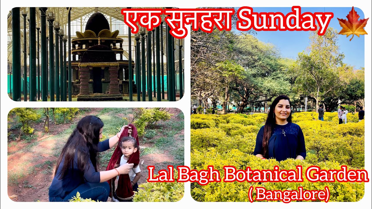 Lal Bagh Botanical Garden ( Bangalore) | एक सुनहरा Sunday 🍁| Vasu swami ...