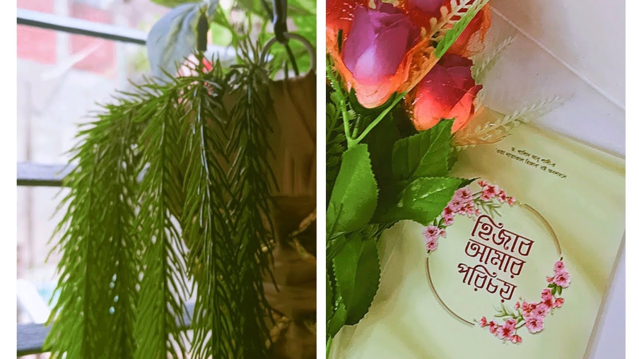 My daily rooting video 😊 - YouTube