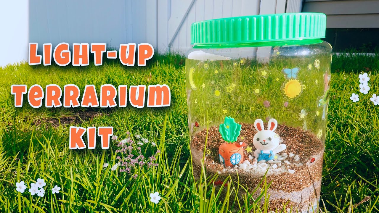 TERRARIUM KIT • HOW TO BUILD A LIGHT-UP TERRARIUM - YouTube
