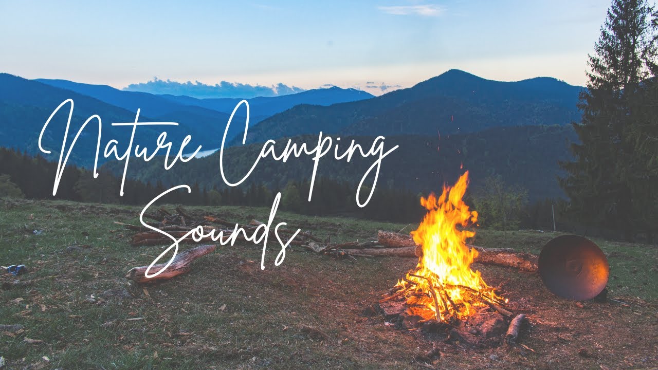 Nature Camping Sounds - Relaxing forest and nature sounds - YouTube
