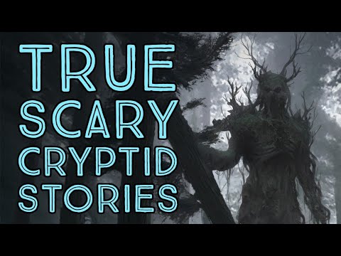 True Scary Cryptid Stories - YouTube