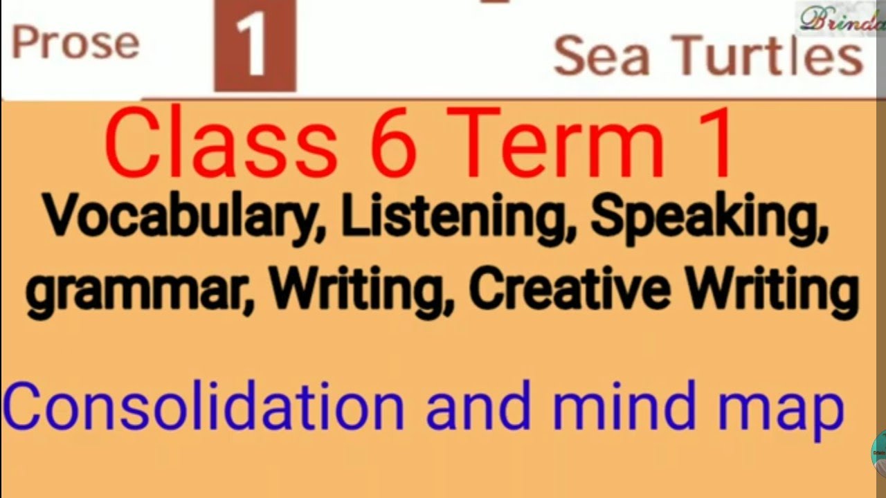 Sea turtles mind map, consolidation,vocabulary, Listening, speaking ...