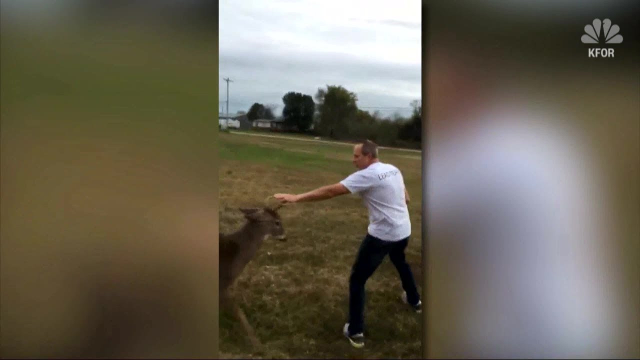 Deer Attack - YouTube